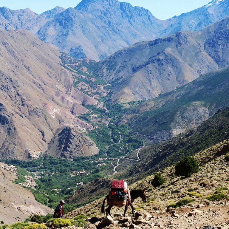 Moroccan Tourism on the Rise: Must-Visit
